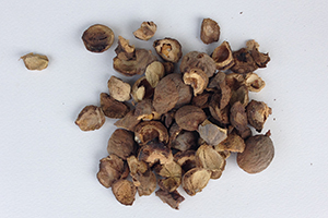 SK Herb:สารสกัดสมุนไพร